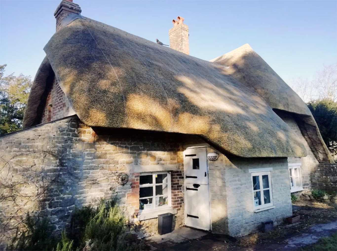 Richard Jefferies Museum Swindon Thatching - Steven Hewlett Thatchers LTD